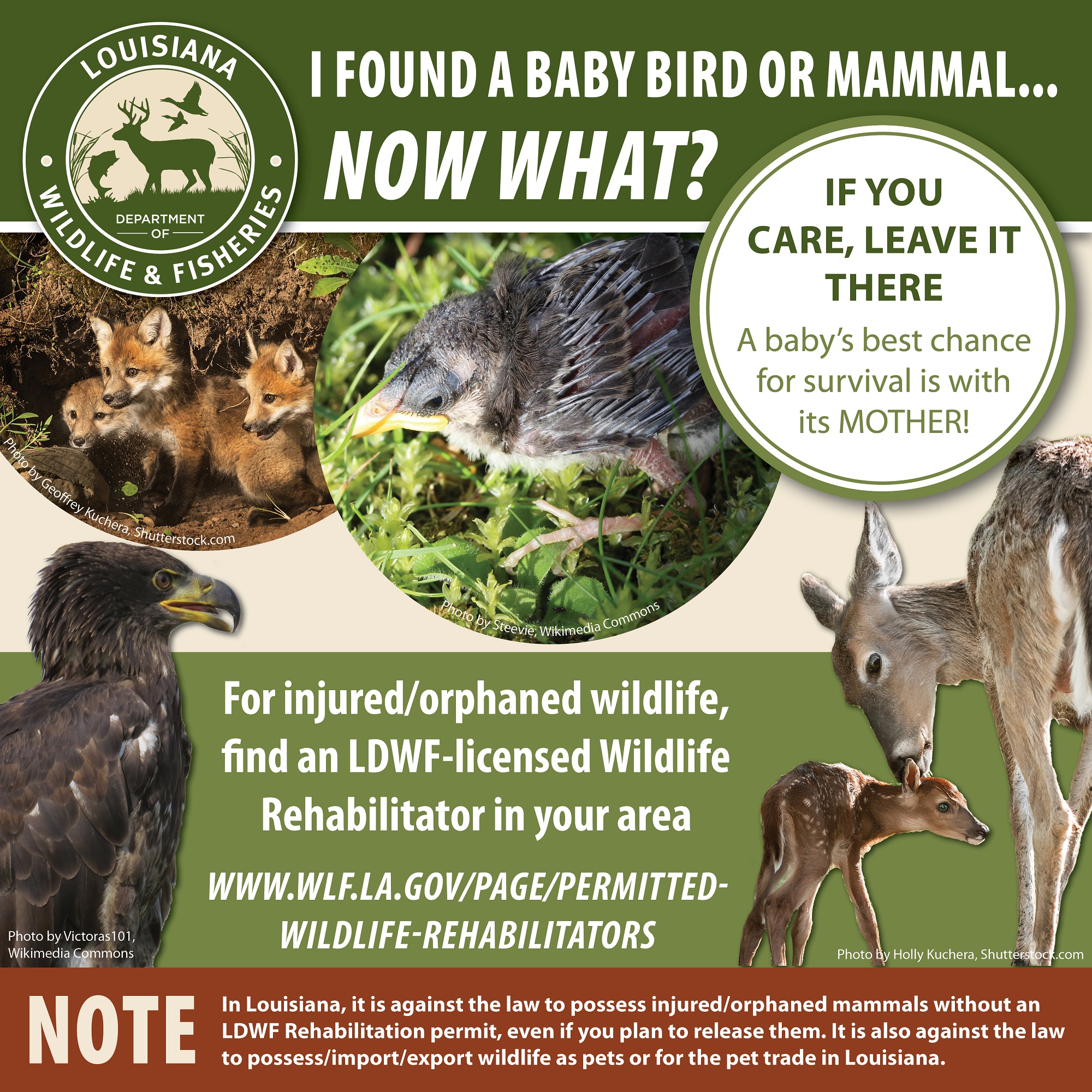 Louisiana Department of Wildlife and Fisheries